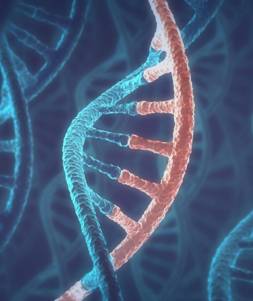 Mirxes - GASTROClear